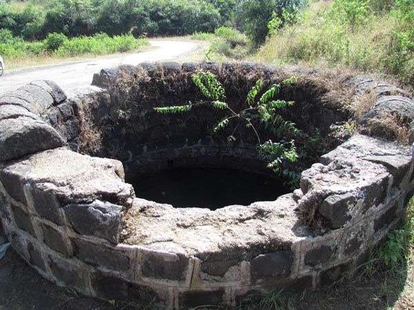 The Deep, Dark Well and the Bright, Shining Son | A Thankfully ...